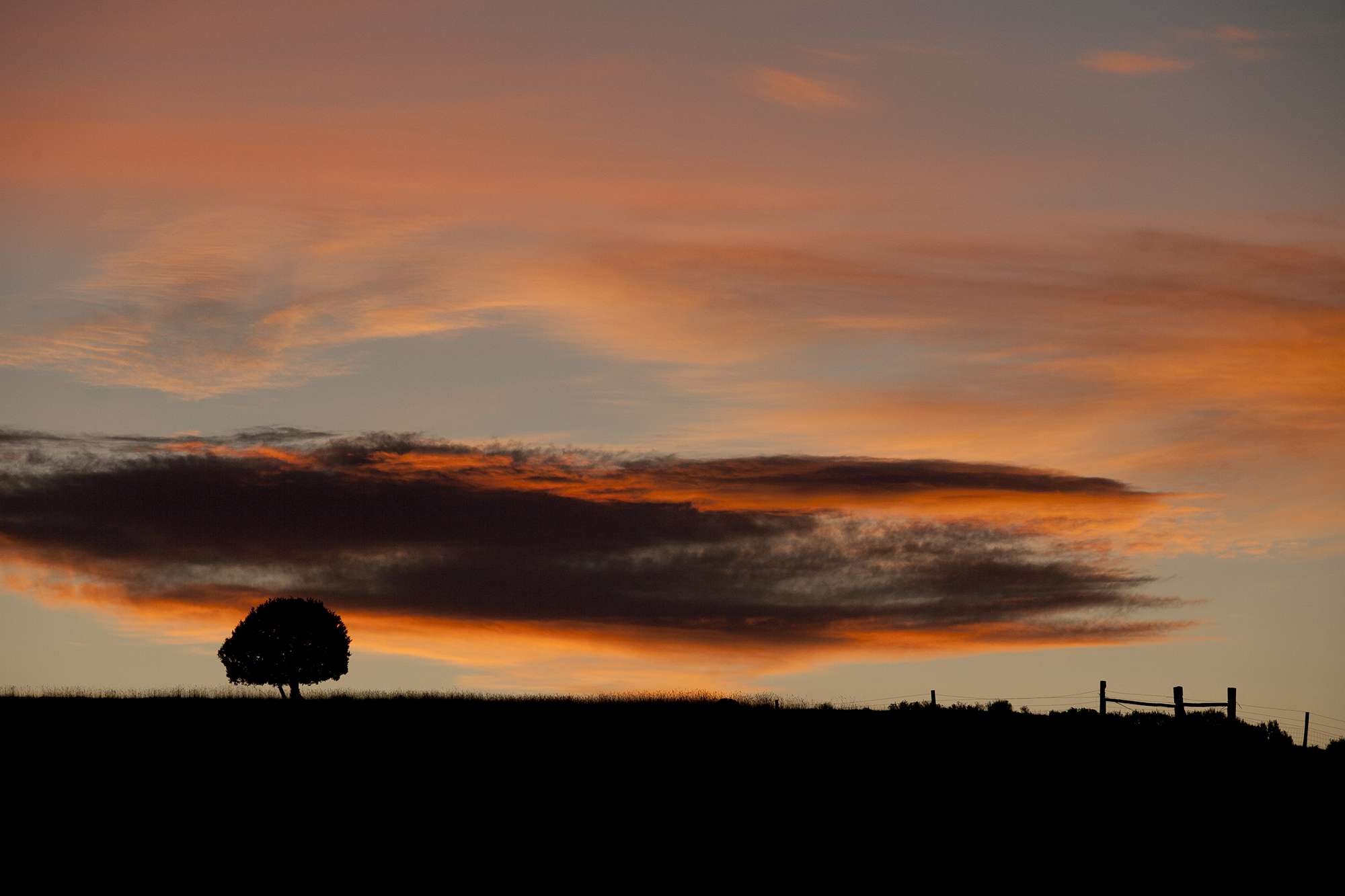 Jonathan Hawkins – Gittings Photography